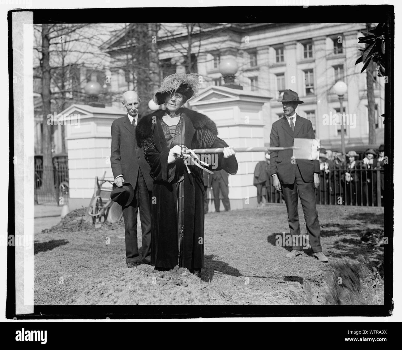Mrs. Harding planting tree, 3/29/22 Stock Photo - Alamy