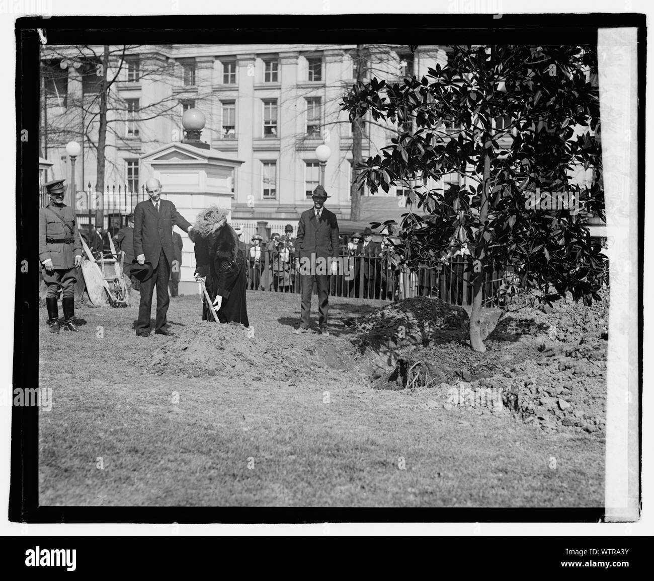 Mrs. Harding planting tree, 3/29/22 Stock Photo - Alamy
