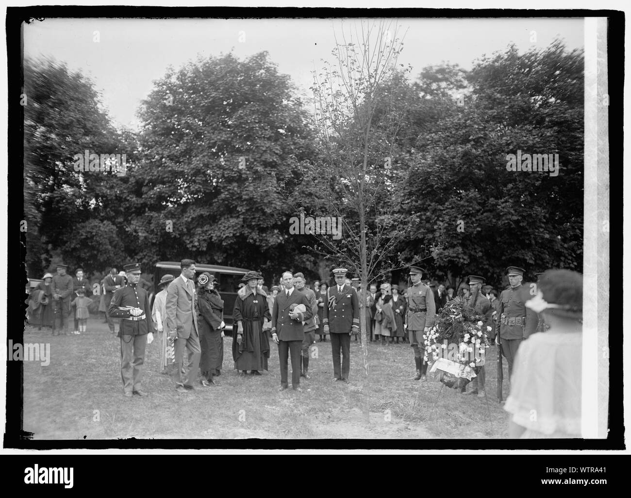 Mrs. Harding planting tree, 5/30/23 Stock Photo - Alamy