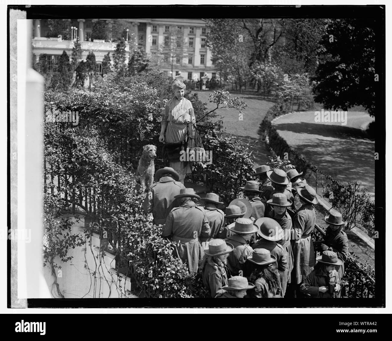 Mrs. Harding posing, 4/22/22 Stock Photo - Alamy