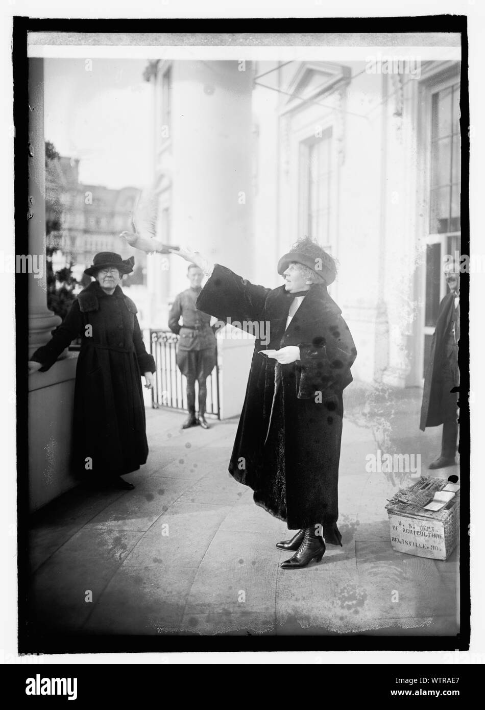 Mrs. Harding, 1/23/22 Stock Photo - Alamy