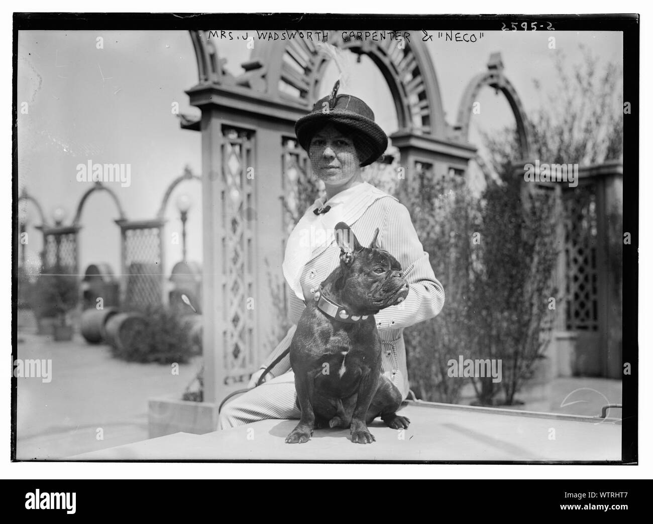 Mrs carpenter Cut Out Stock Images & Pictures - Alamy