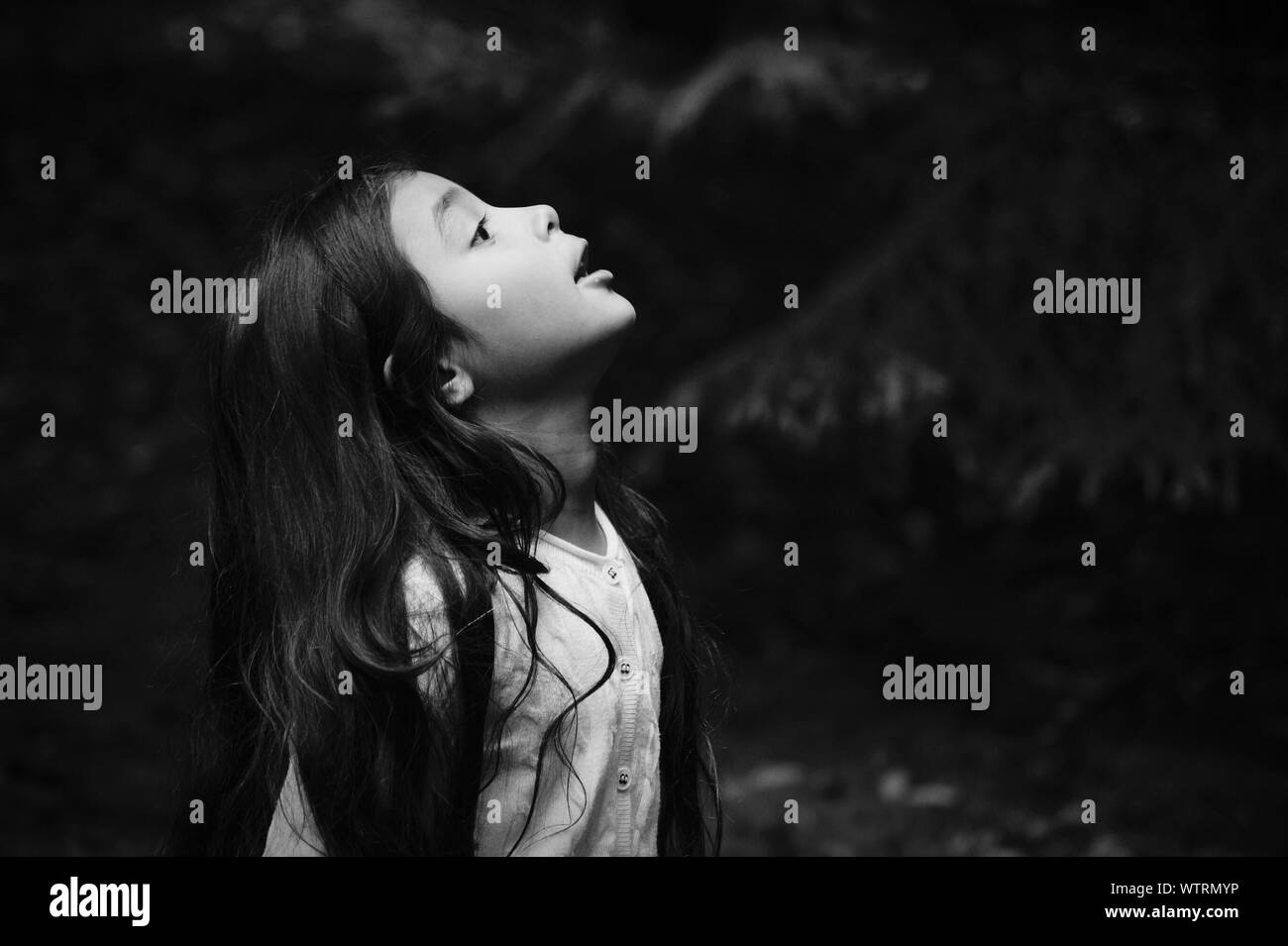 Girl looking into the forest hi-res stock photography and images - Alamy Girl looking into the forest hi-res stock photography and images - Alamy