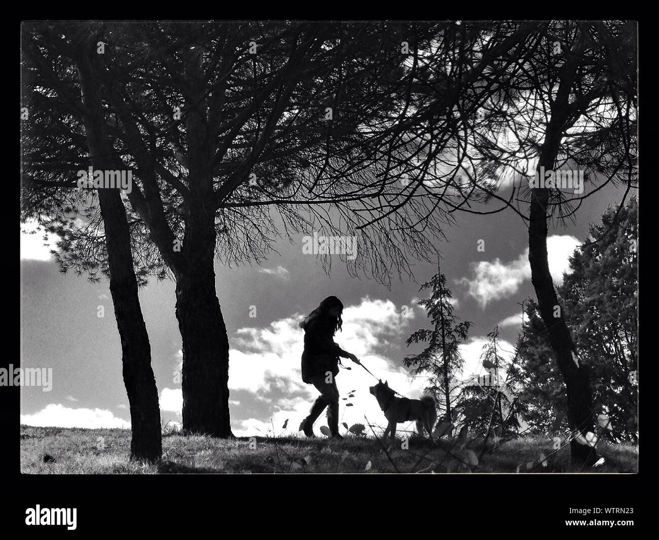 Dog face side view hi-res stock photography and images - Alamy