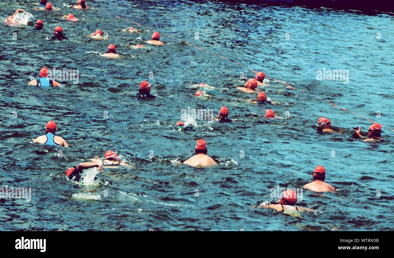 Sea swimmers hi-res stock photography and images - Alamy