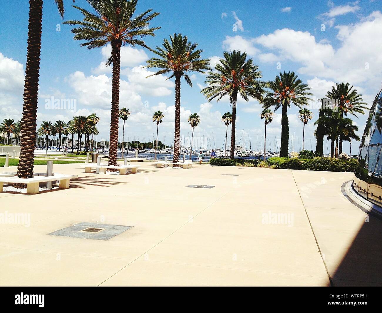 Footpath leading to palm trees hi-res stock photography and images - Alamy