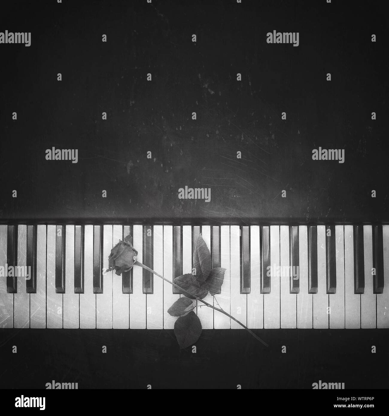 High angle view grand piano hi-res stock photography and images - Alamy