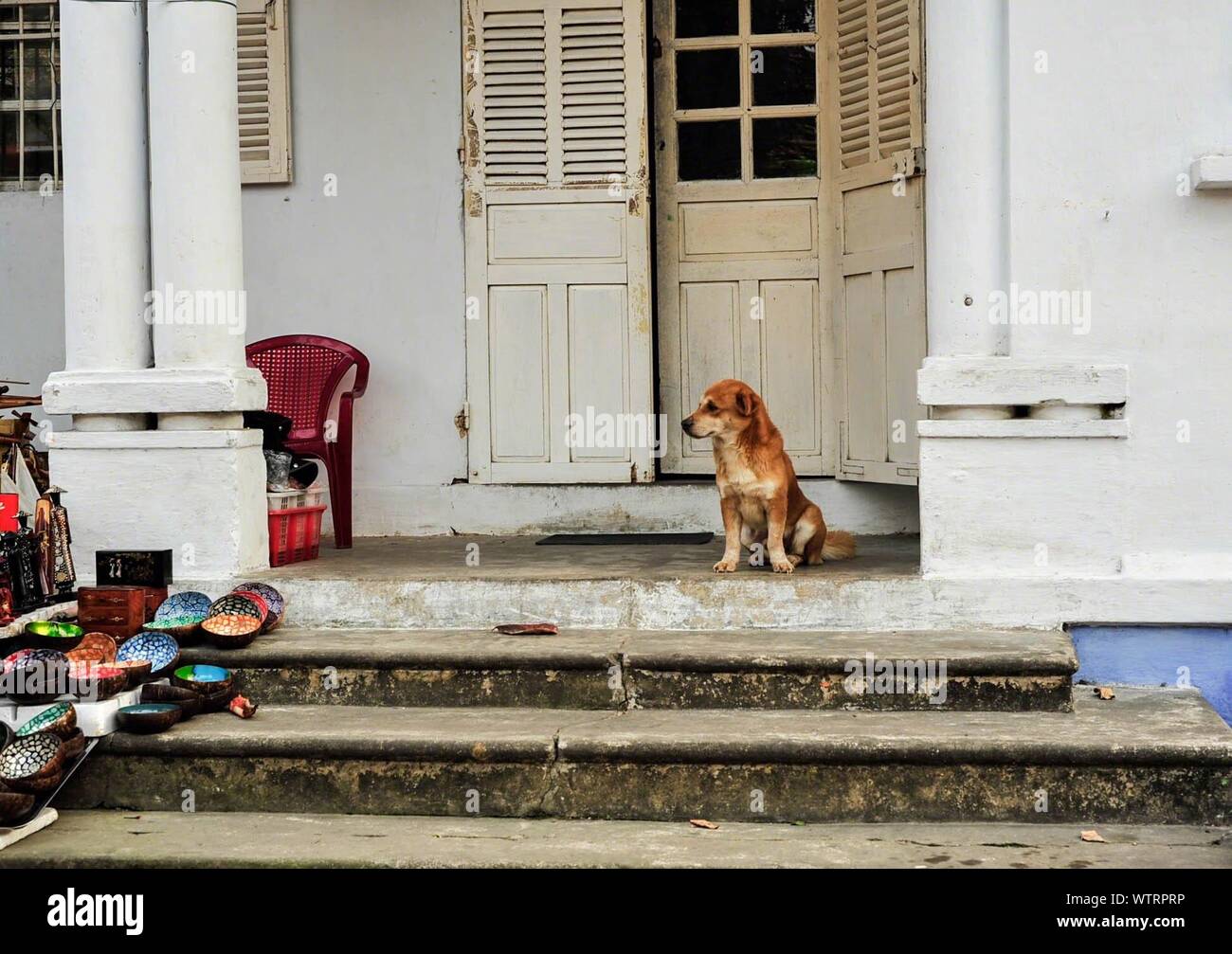 Sitting on porch steps hi-res stock photography and images - Alamy