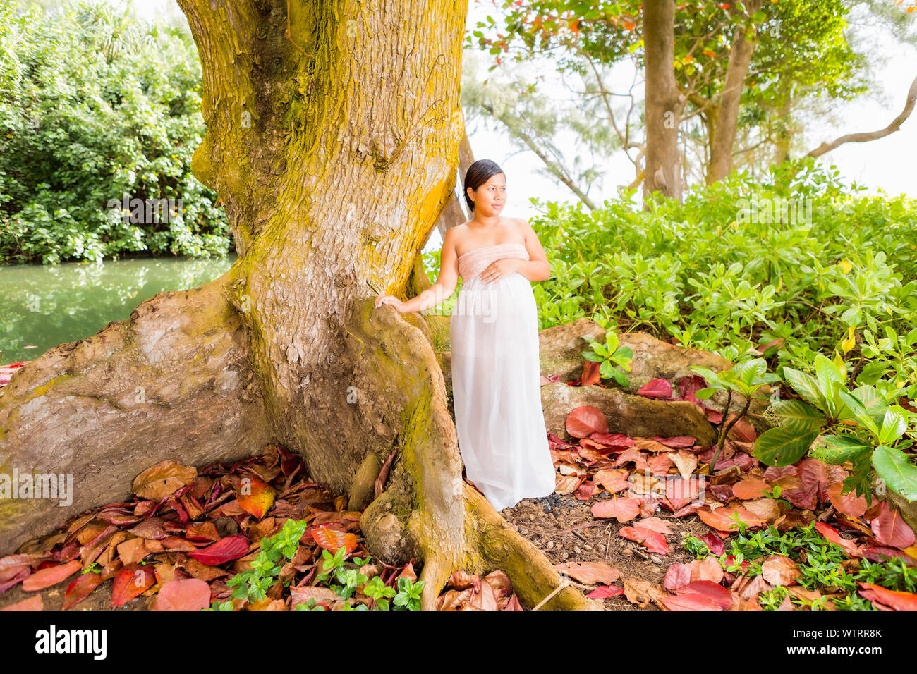 People standing near tree hi-res stock photography and images - Alamy