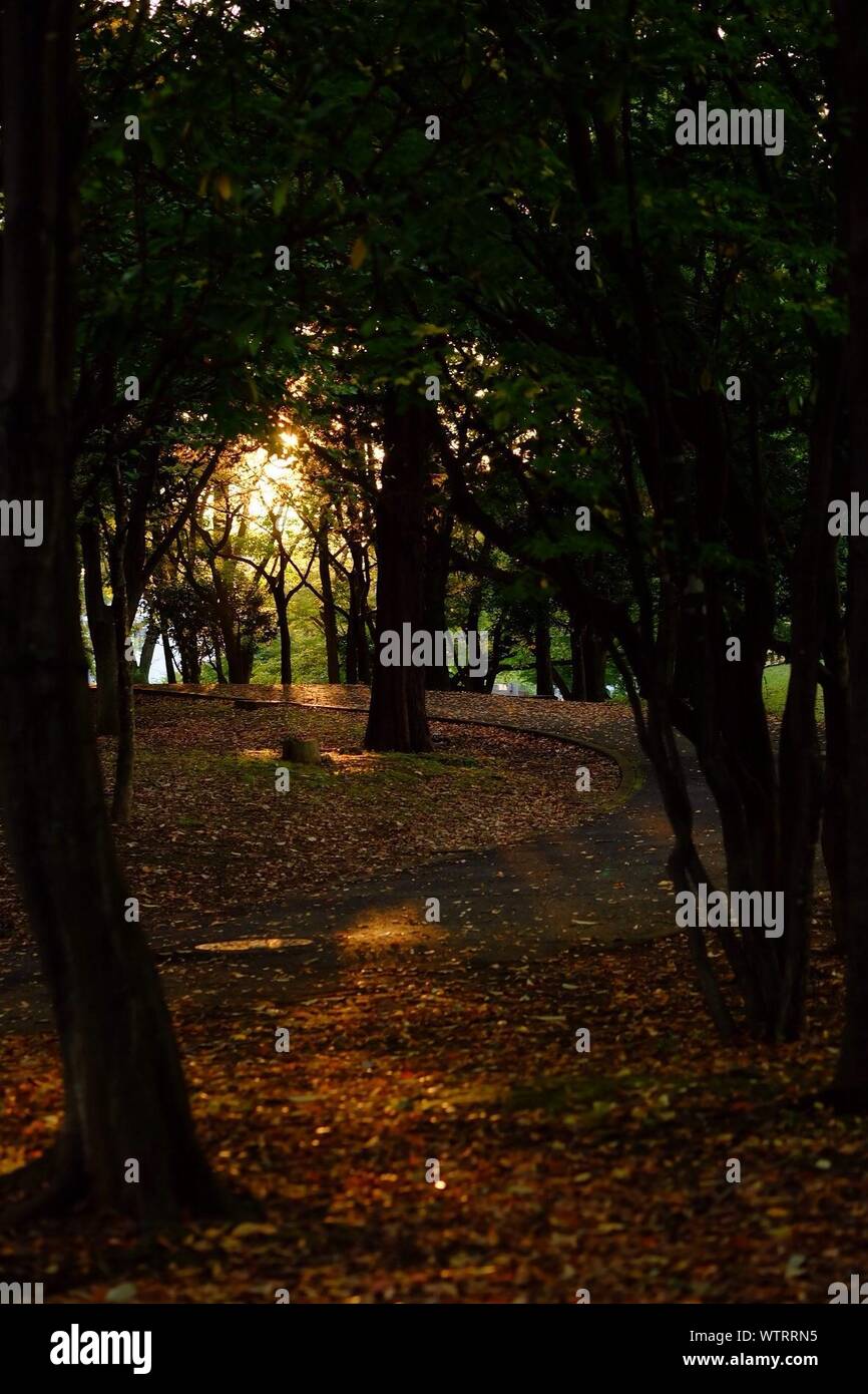 Sunset pathway hi-res stock photography and images - Alamy