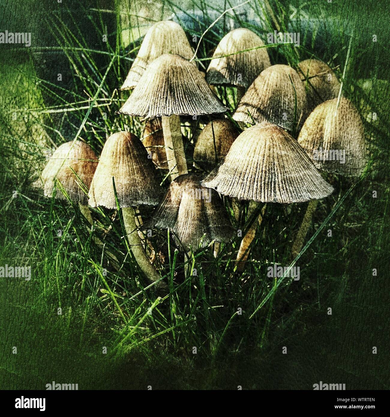 Grunge Effect High Resolution Stock Photography and Images - Alamy