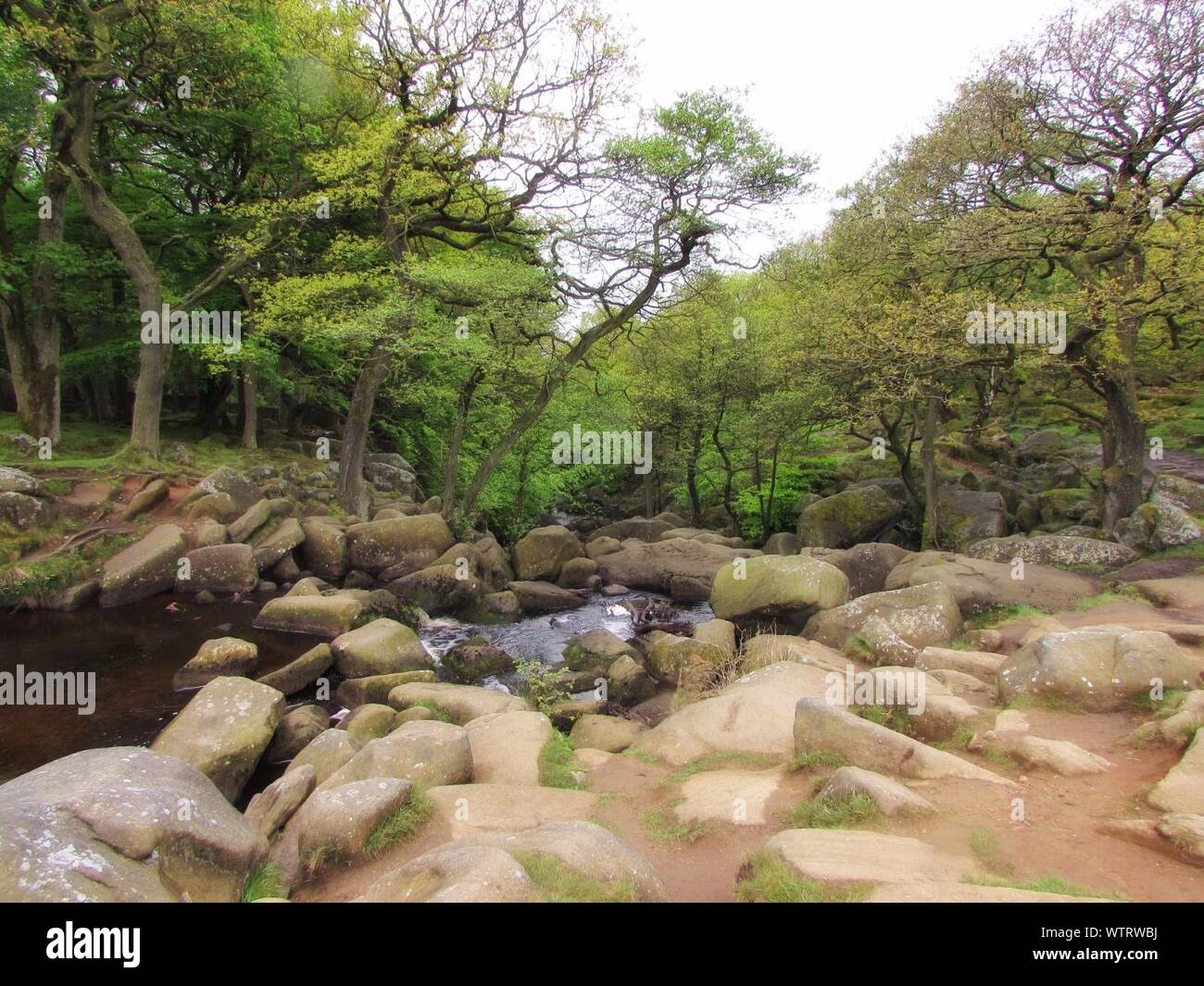 Stream boulders hi-res stock photography and images - Alamy