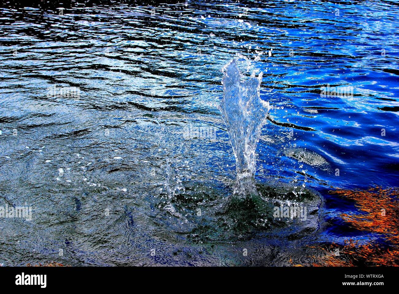 Splashed Water In Lake Stock Photo - Alamy