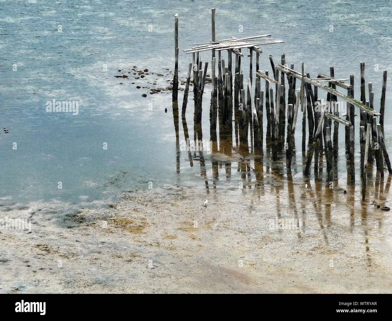 Wooden posts beach hi-res stock photography and images - Alamy