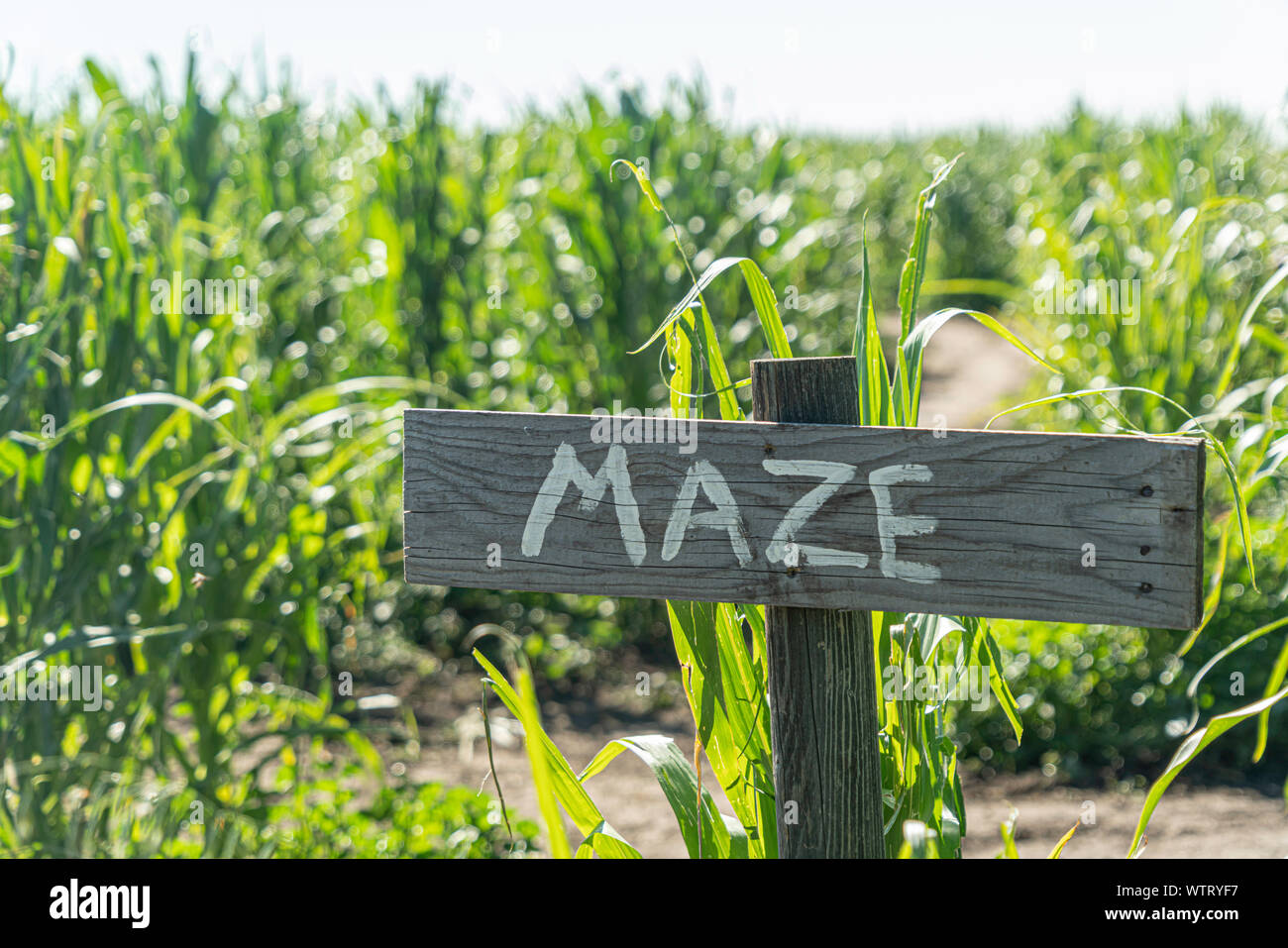 Corn maze sign hi-res stock photography and images - Alamy