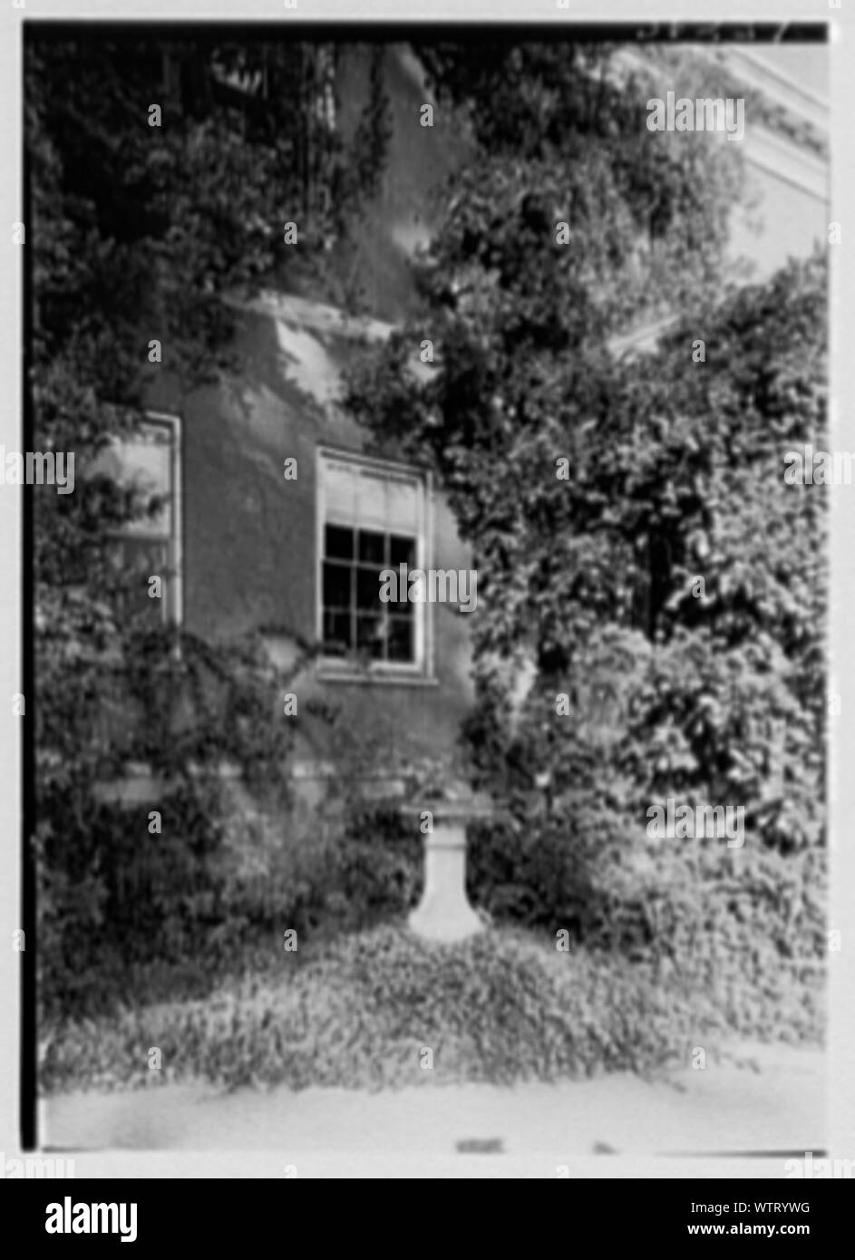 Mrs havemeyer hi-res stock photography and images - Alamy