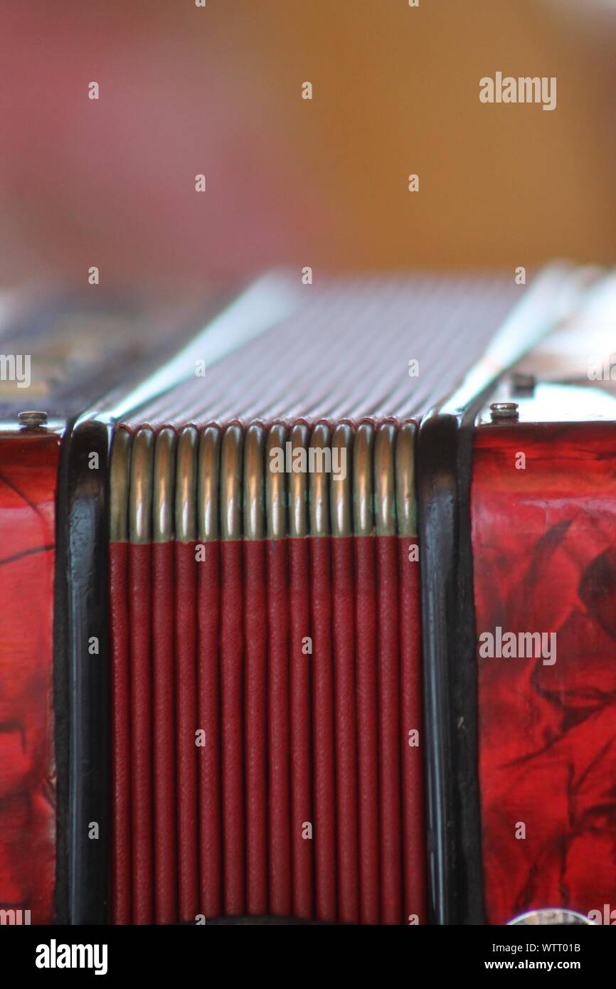 Red accordion hi-res stock photography and images - Alamy