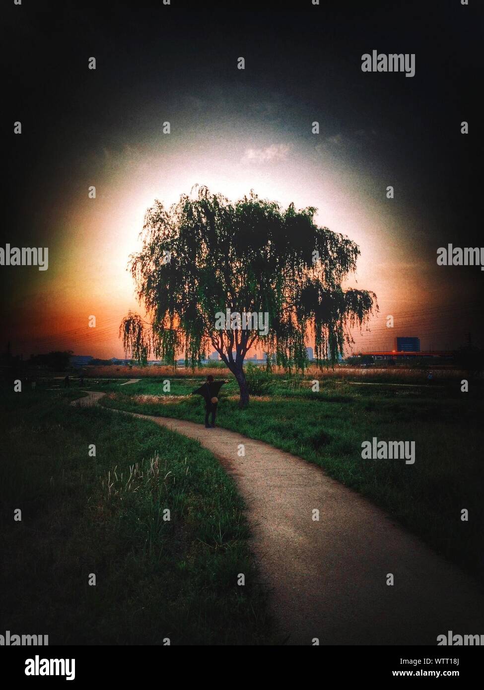 Scenery of sunset hi-res stock photography and images - Alamy