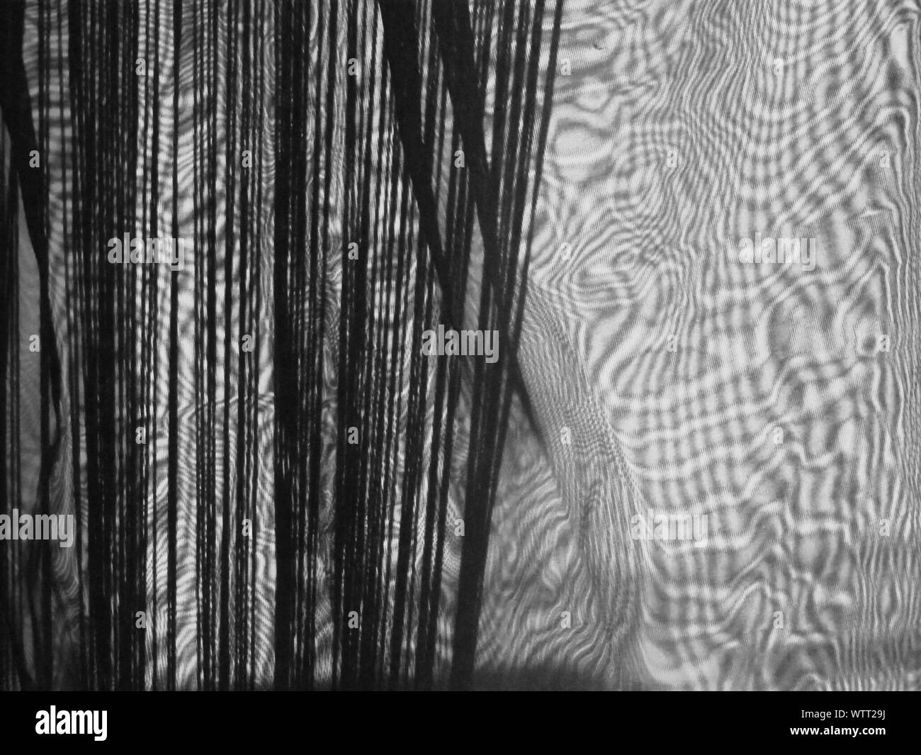 Shadow Of Water On Wall By Curtain Stock Photo - Alamy