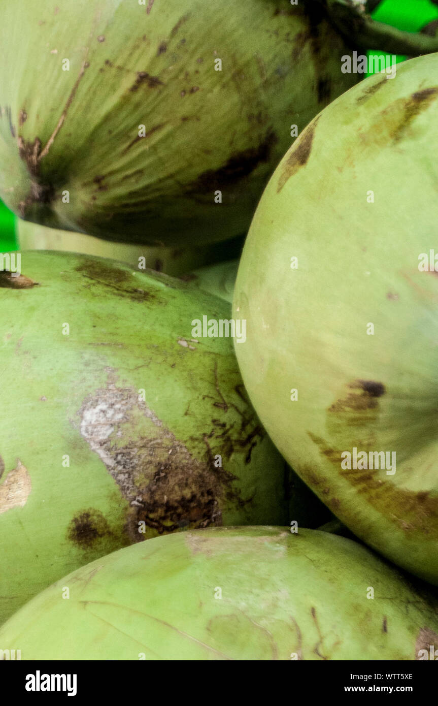 Close up of green coconuts hi-res stock photography and images - Alamy