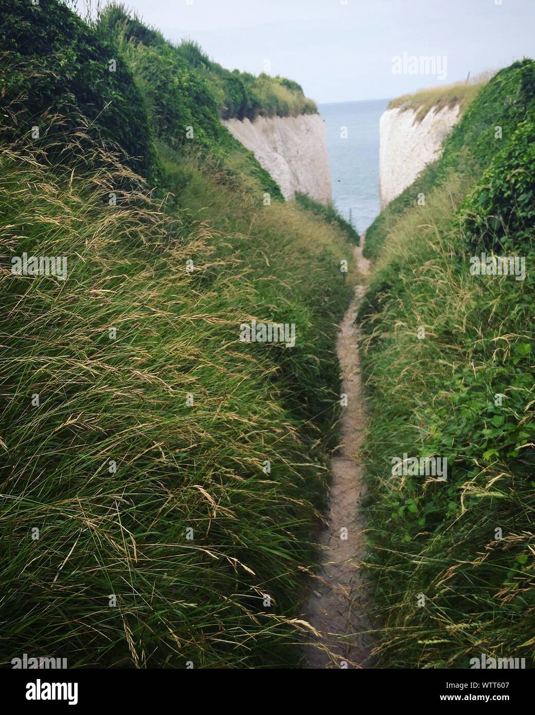 Cliff pathway hi-res stock photography and images - Alamy