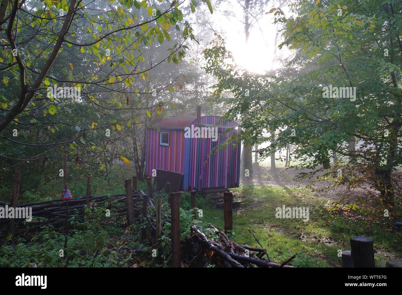 Leaf hut in forest hi-res stock photography and images - Alamy