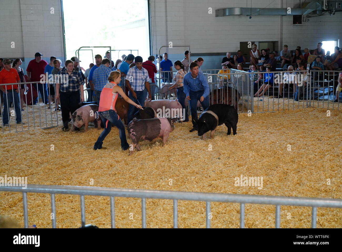 Lac blank hi-res stock photography and images - Alamy