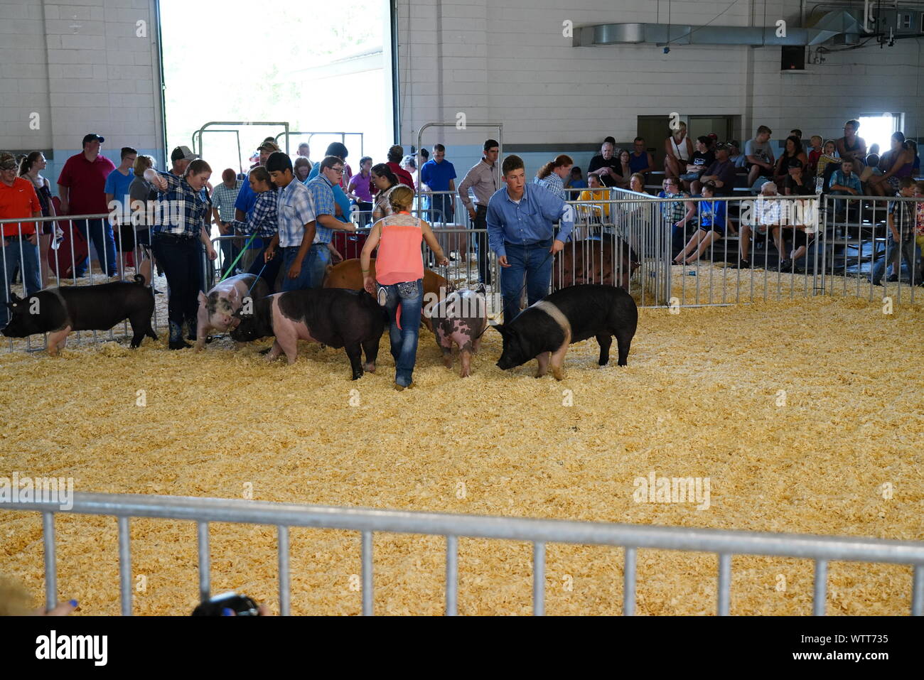 Lac du panel hi-res stock photography and images - Alamy