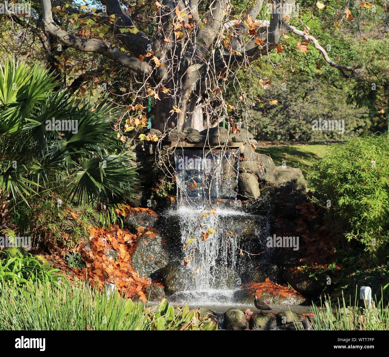 Formal water garden hi-res stock photography and images - Alamy