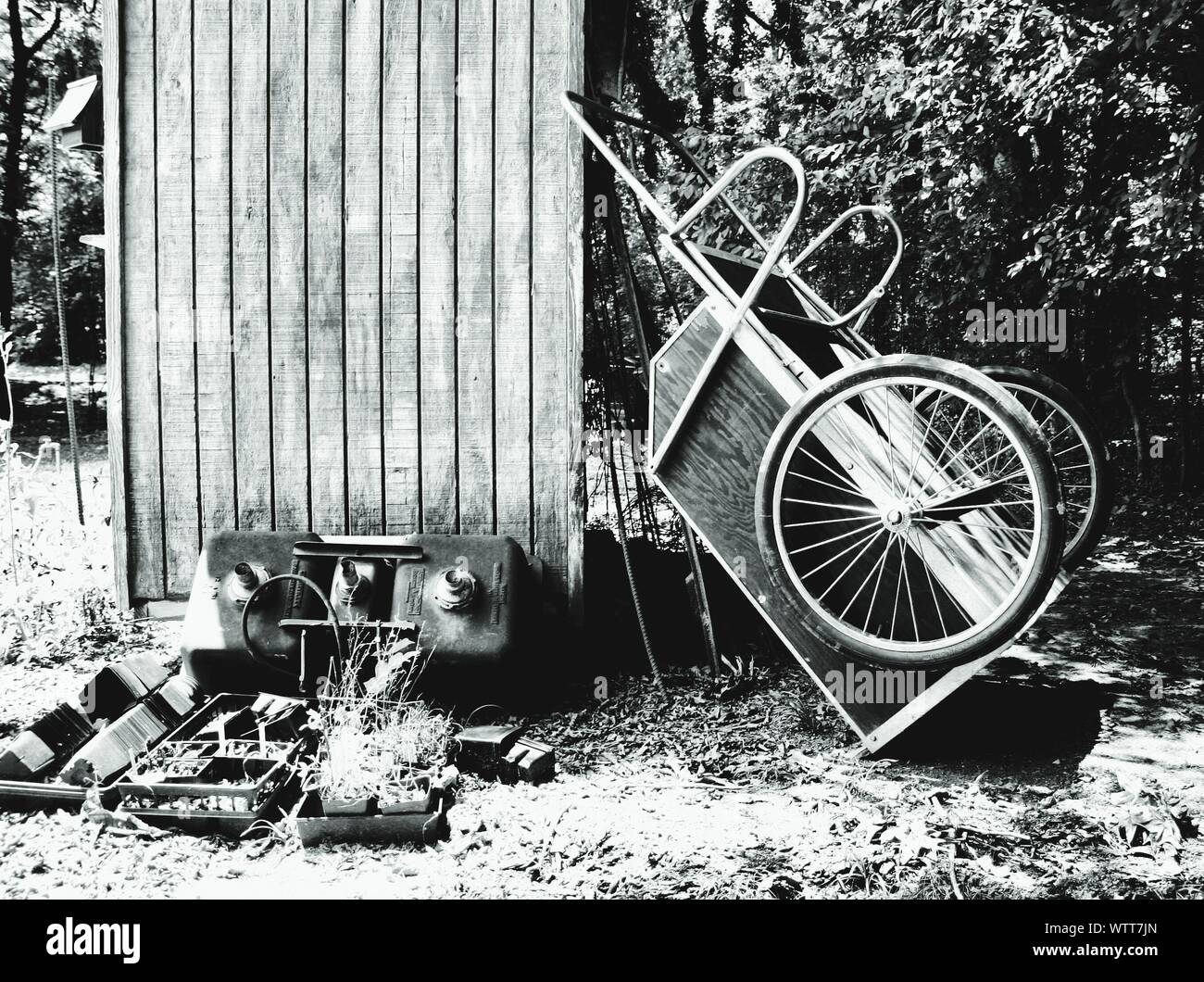 Leaning log hi-res stock photography and images - Alamy