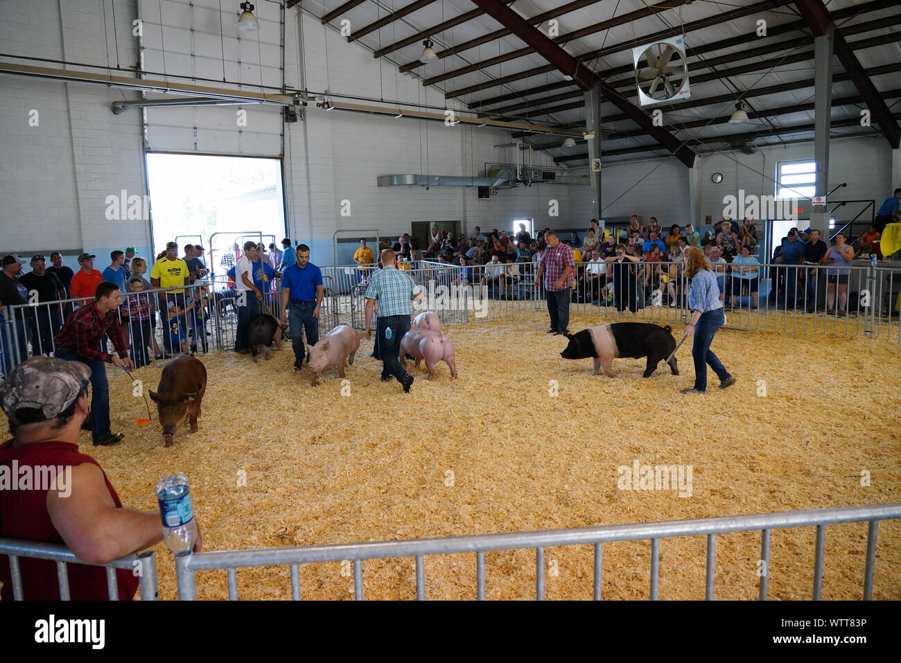 Lac blank hi-res stock photography and images - Alamy