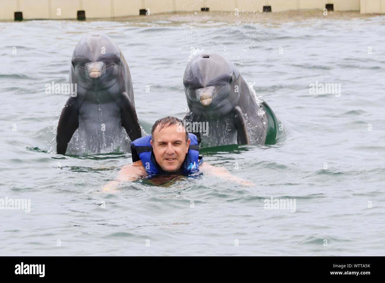 Man animals hi-res stock photography and images - Alamy