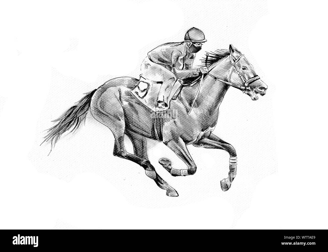 Horse And Rider Drawings In Pencil