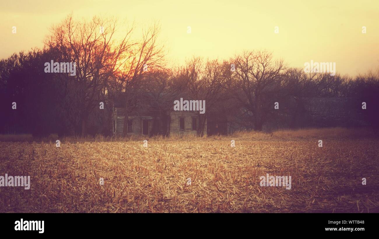 Desolate hi-res stock photography and images - Alamy