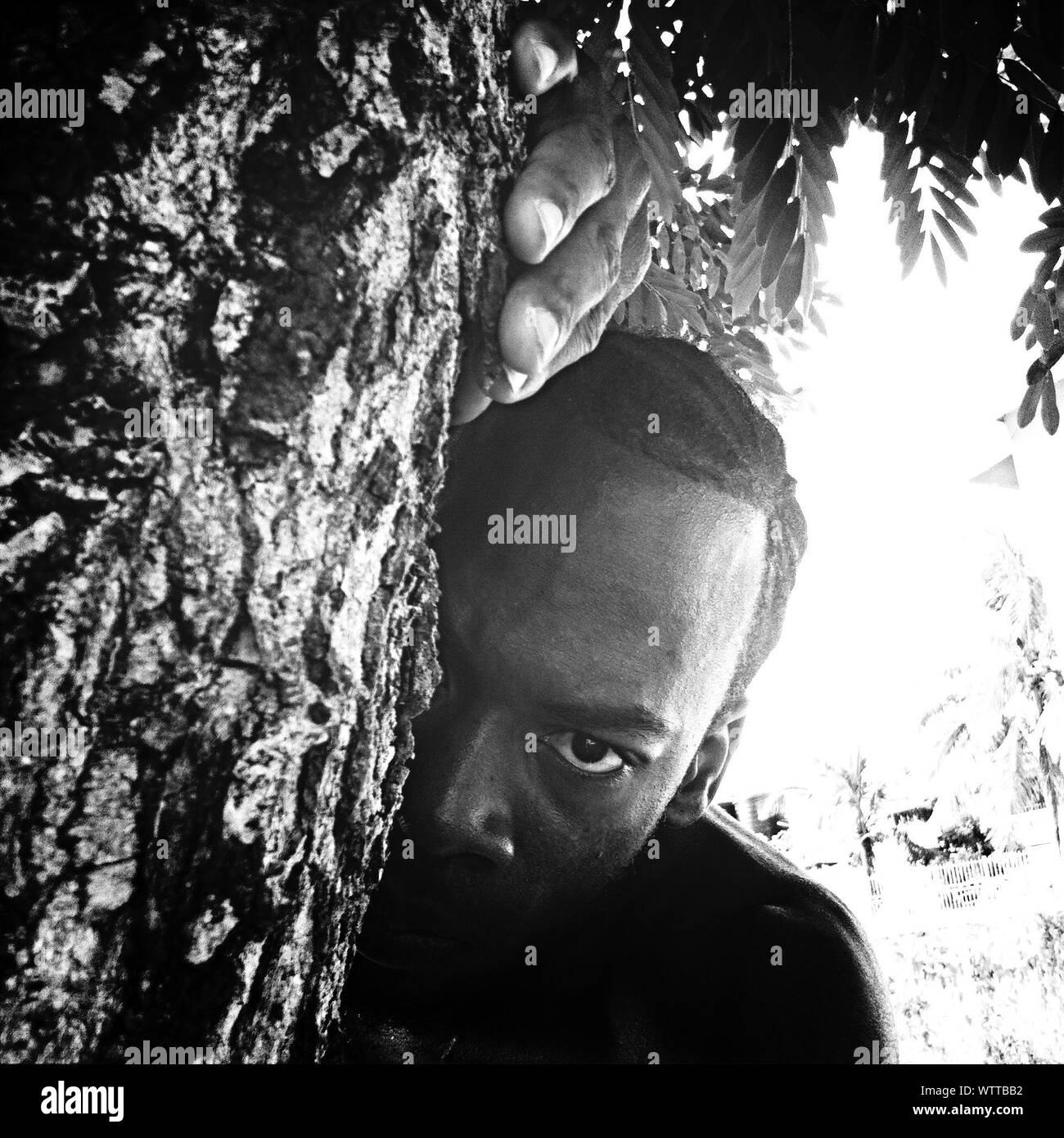 Real people men tree Black and White Stock Photos & Images - Alamy