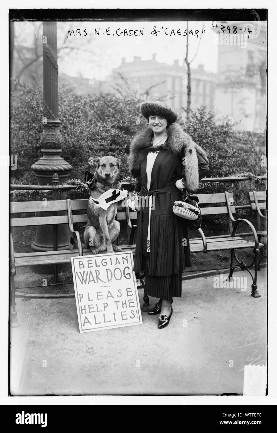 Mrs. N.E. Green & Caesar Stock Photo - Alamy