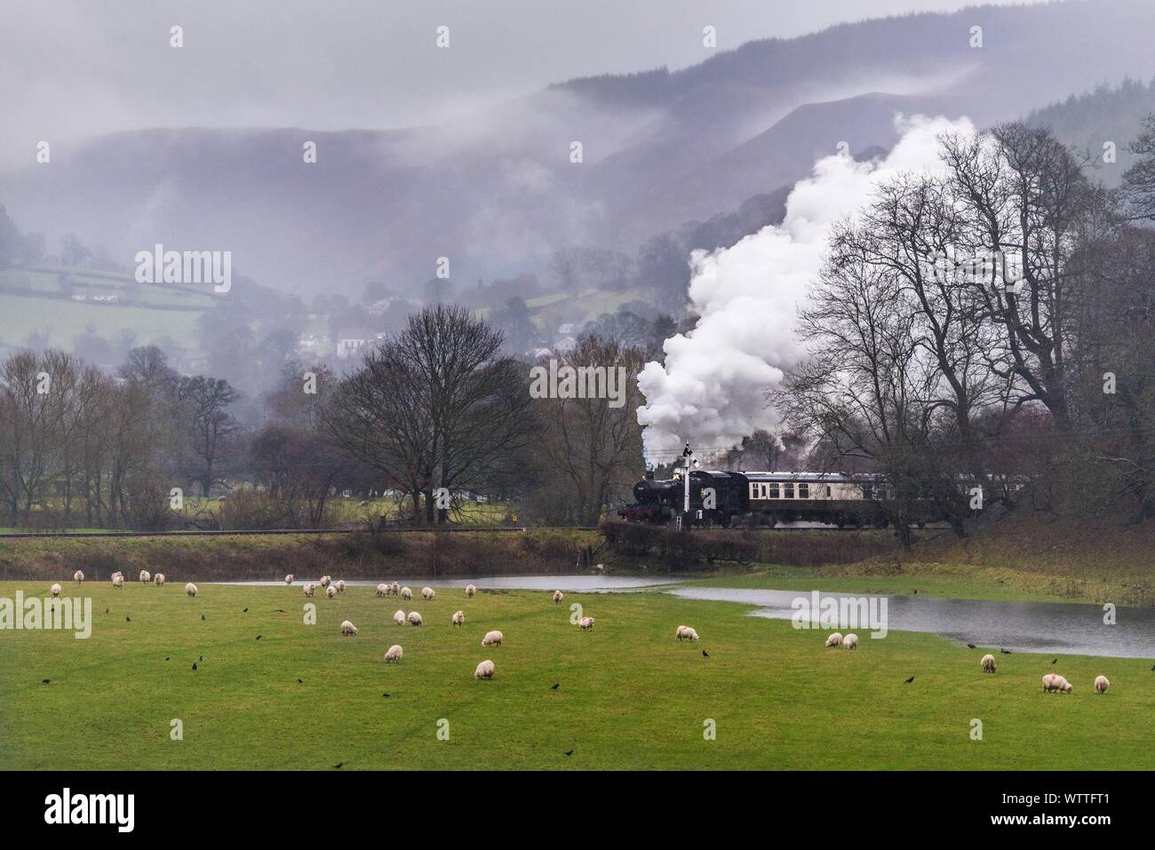 Steam Engine Train Stock Photos & Steam Engine Train Stock Images - Alamy