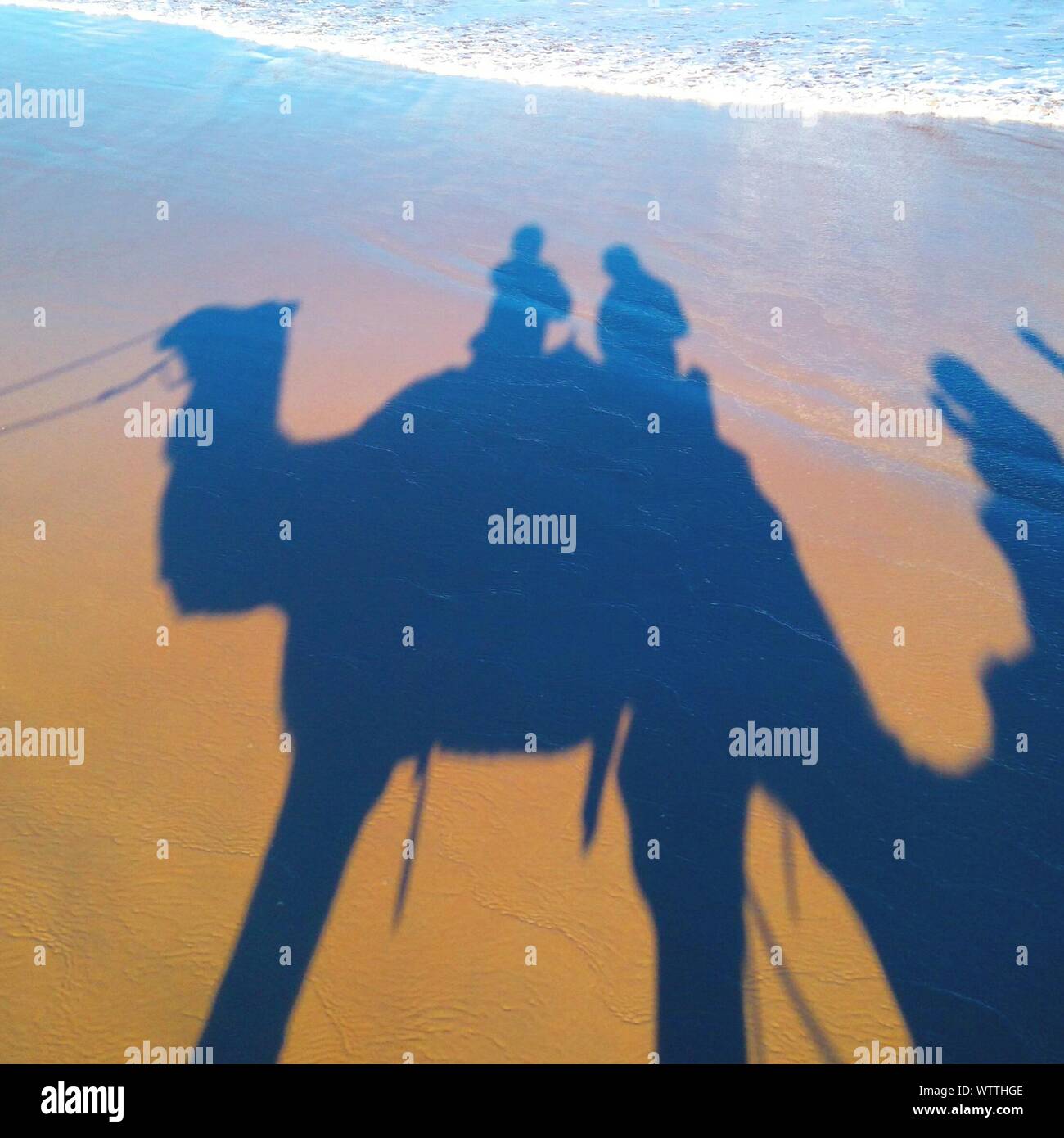 Riding camel at australia hi-res stock photography and images - Alamy