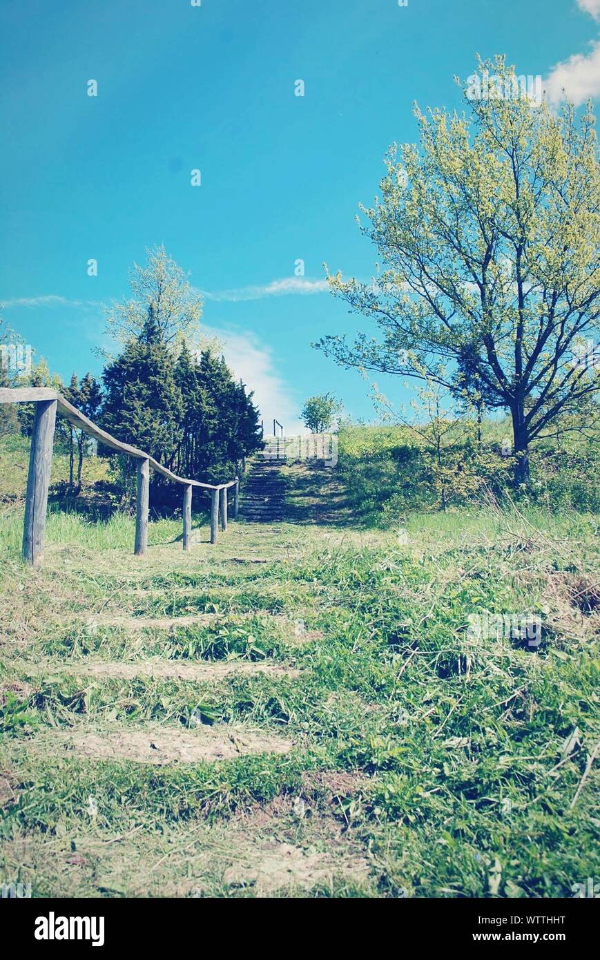 Grass on steps growth hi-res stock photography and images - Alamy