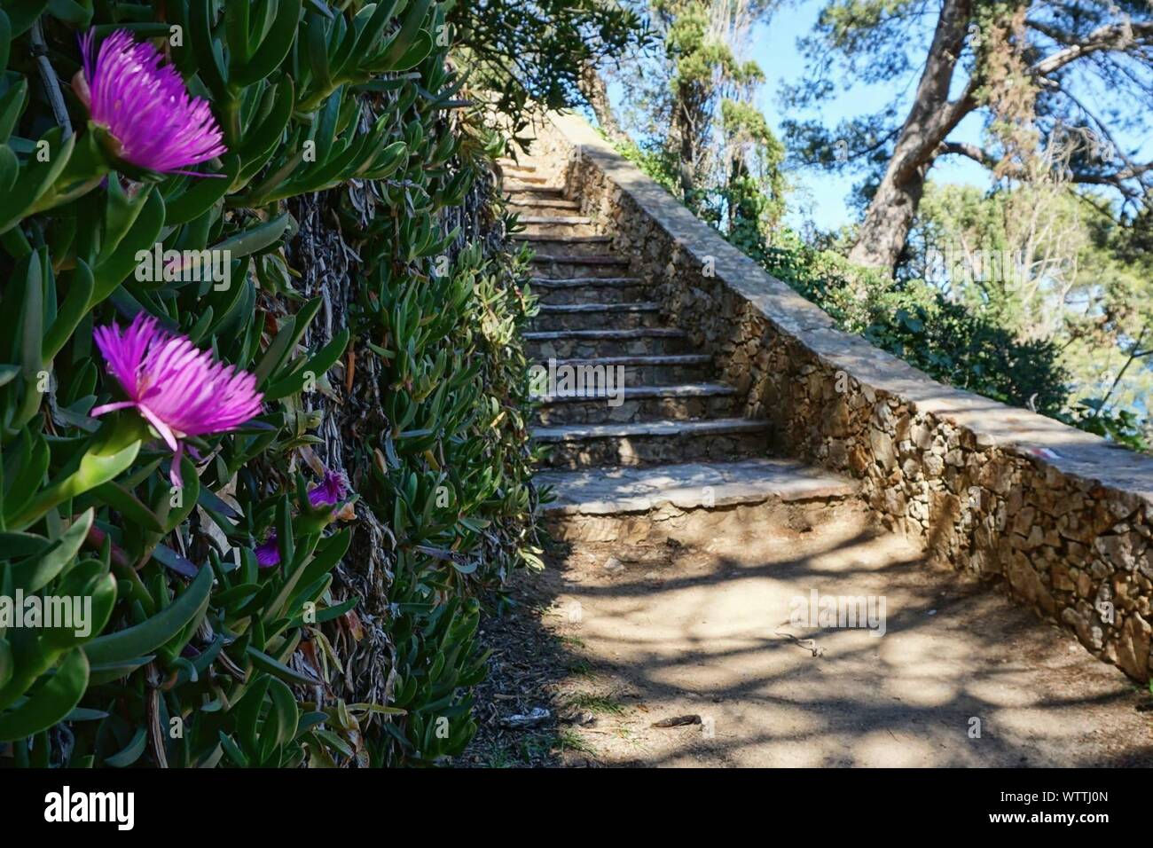Outdoors stair hi-res stock photography and images - Alamy