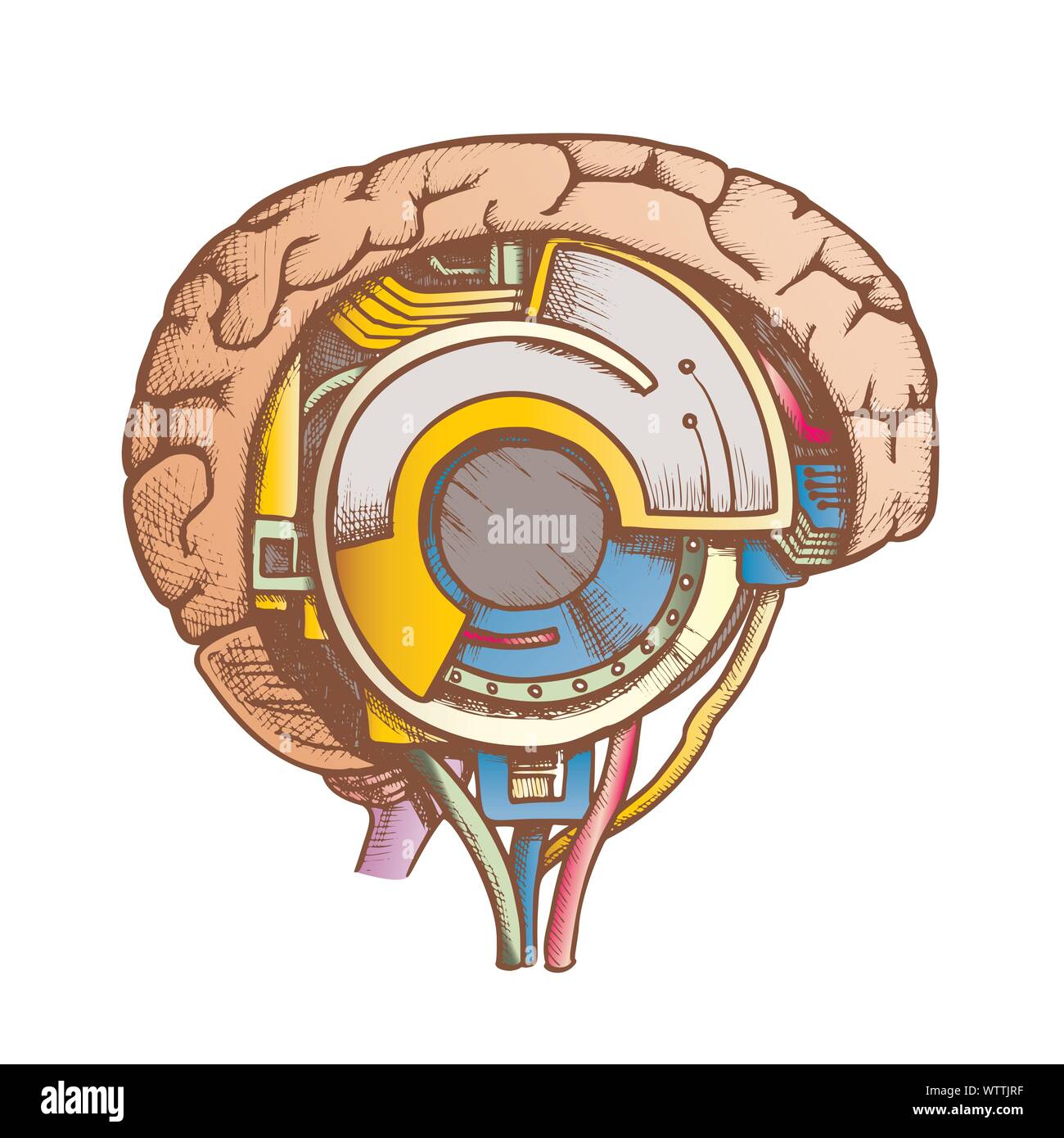 Technology Cyber Brain Side View Color Vector Stock Vector Image & Art ...