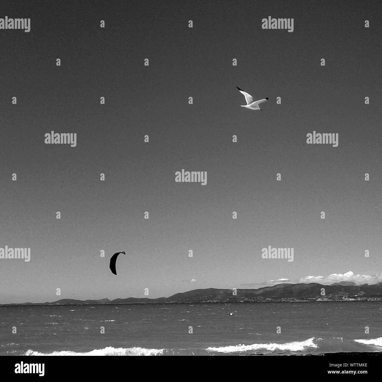 Flying with kite Black and White Stock Photos & Images - Alamy