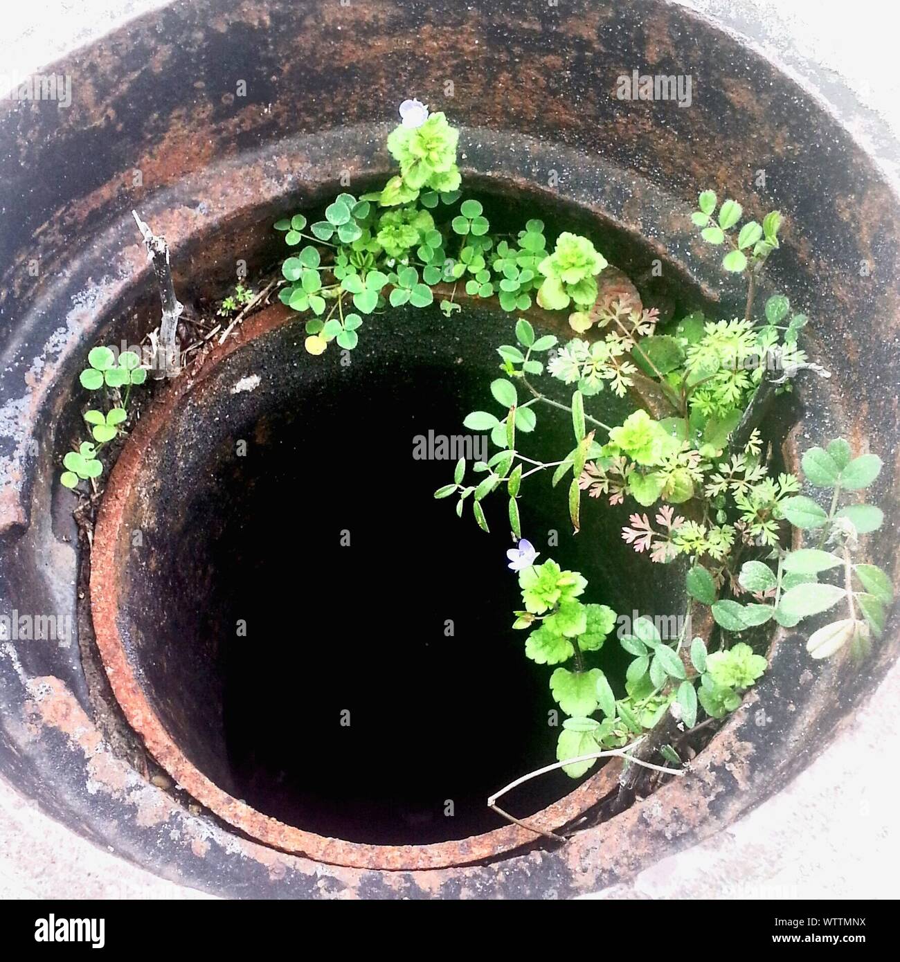 Green manhole hi-res stock photography and images - Alamy