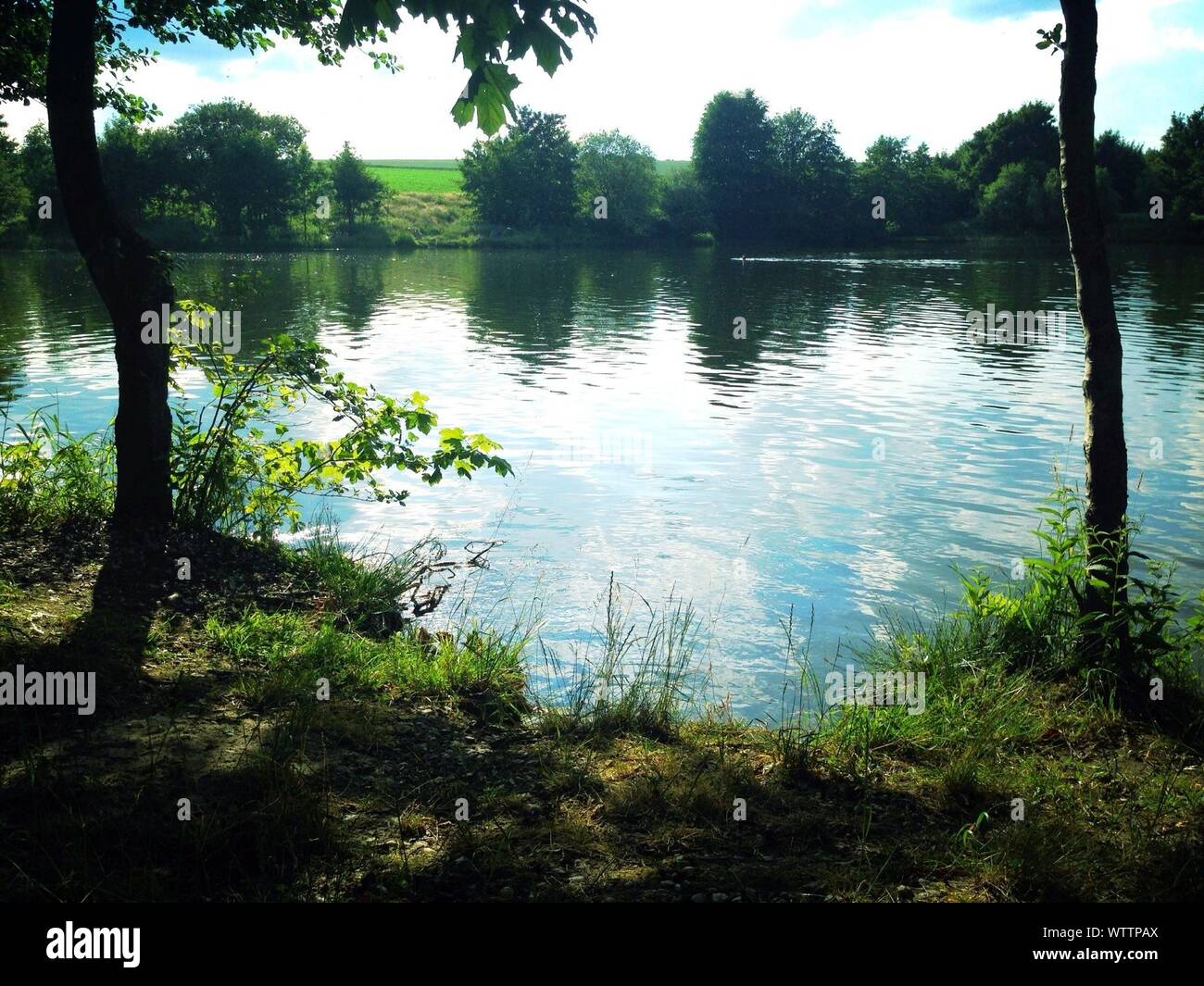 Trees by the lakeside hi-res stock photography and images - Alamy