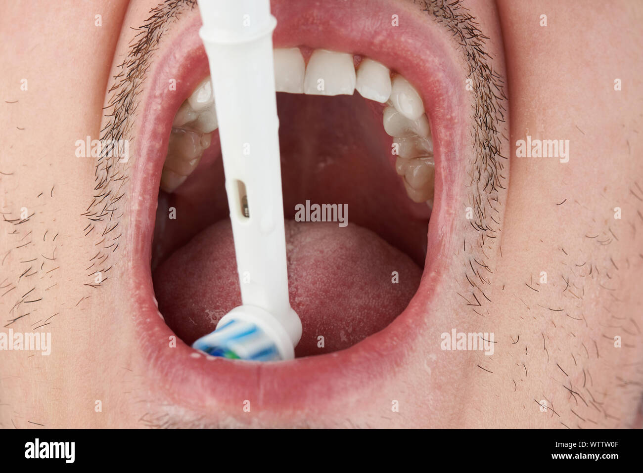 Bottom teeth hi-res stock photography and images - Alamy