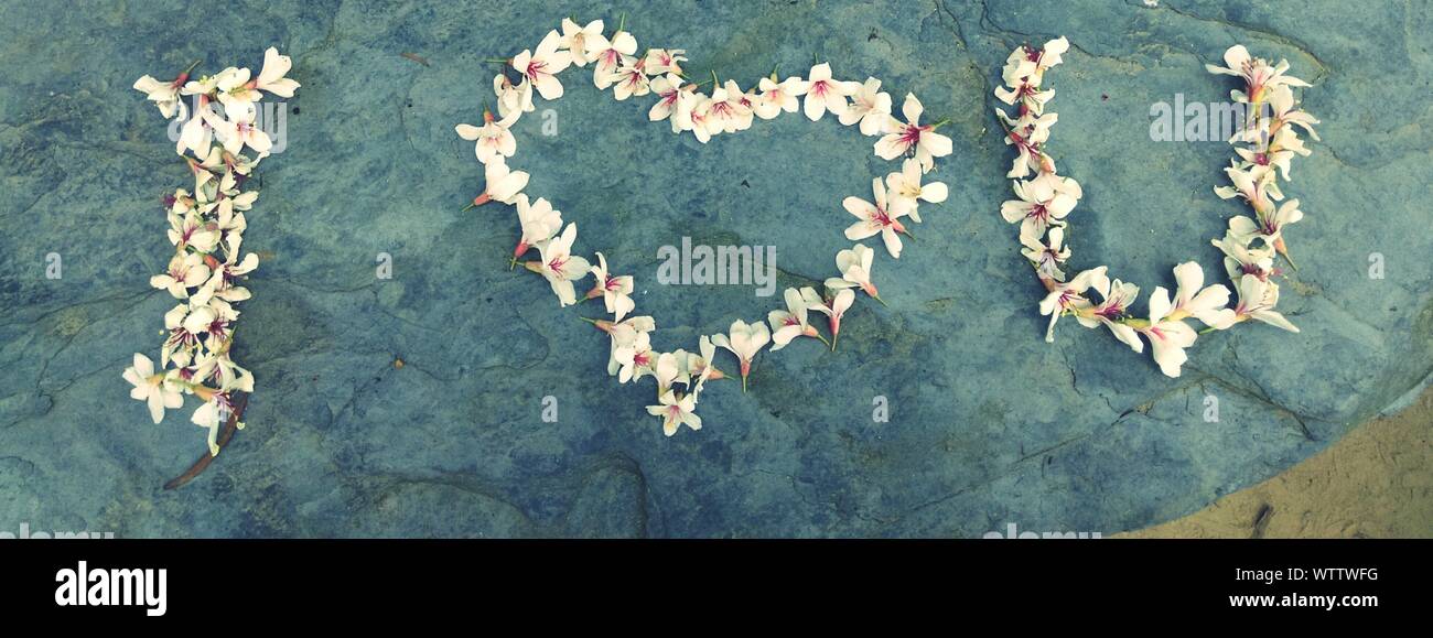 I Love Flowers High Resolution Stock Photography and Images - Alamy