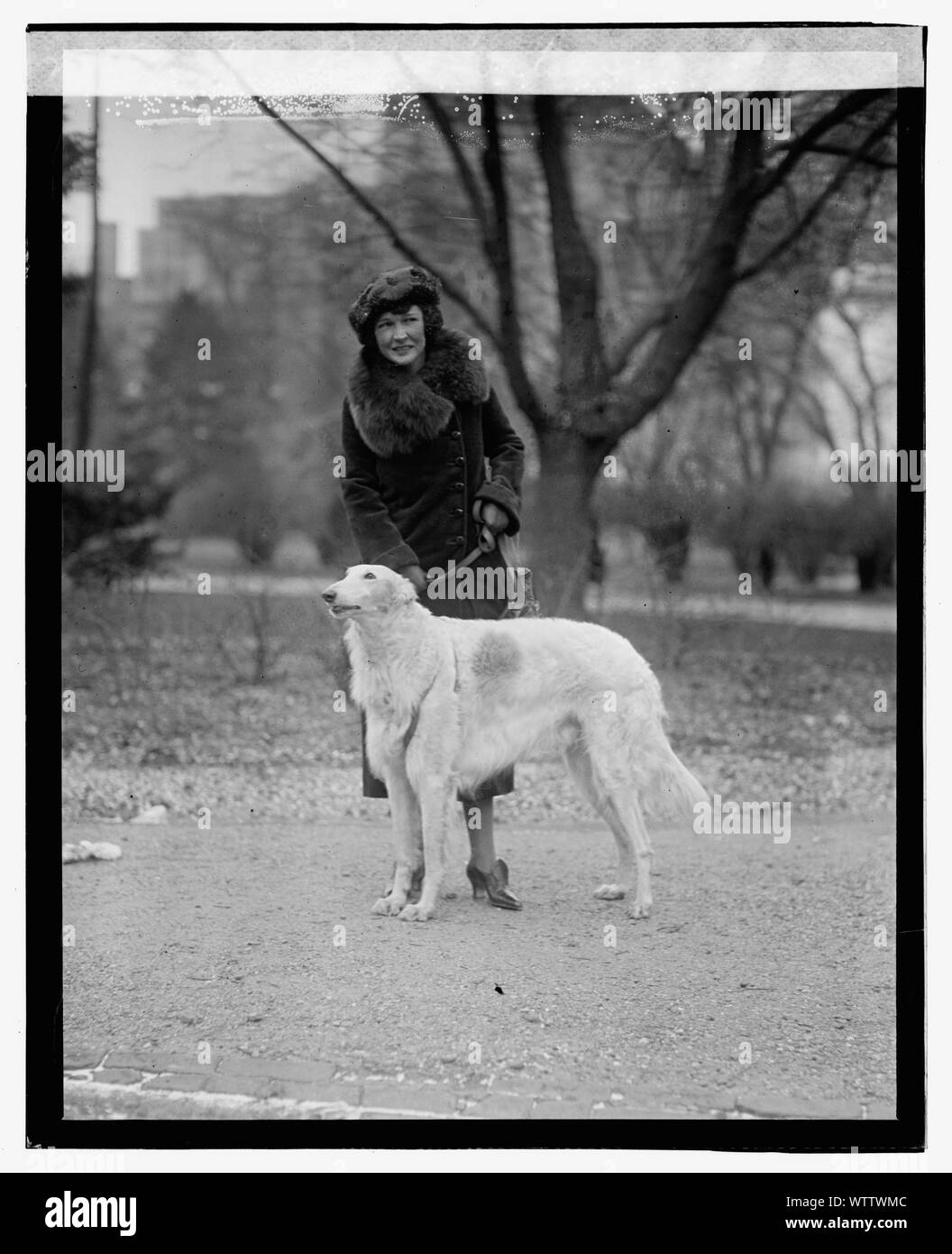Mrs. Robt. Watson Stock Photo - Alamy