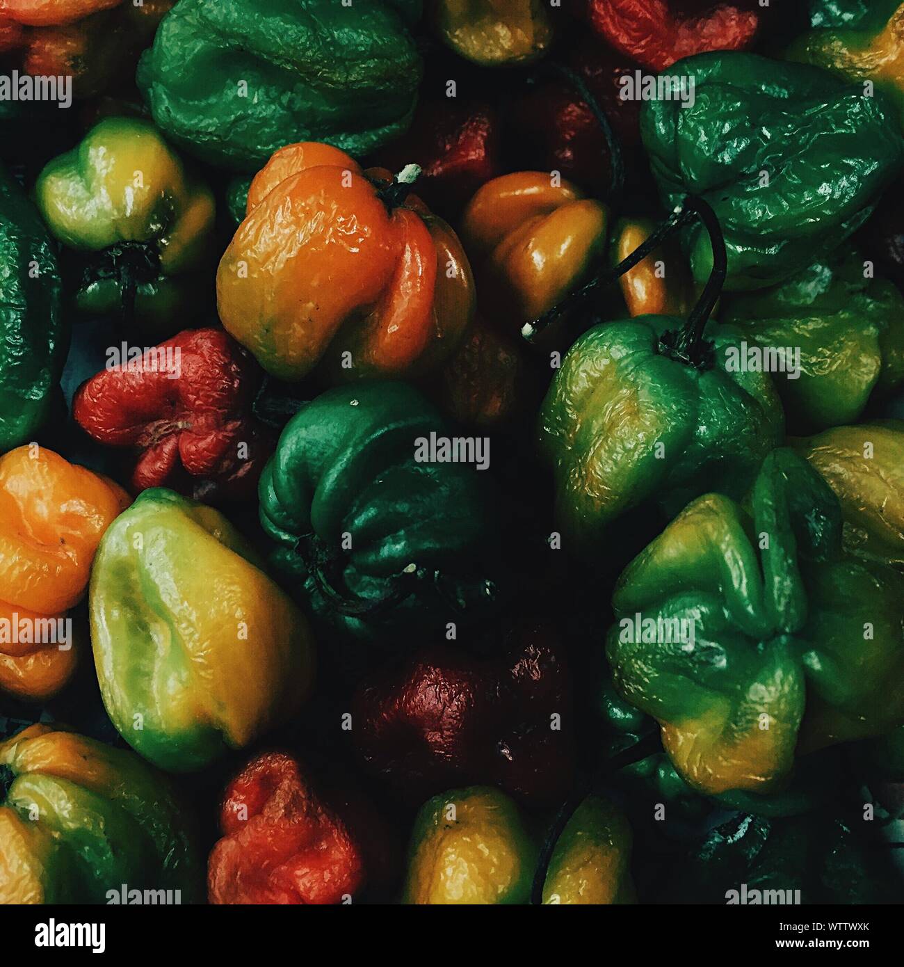 Wrinkled vegetable hi-res stock photography and images - Alamy