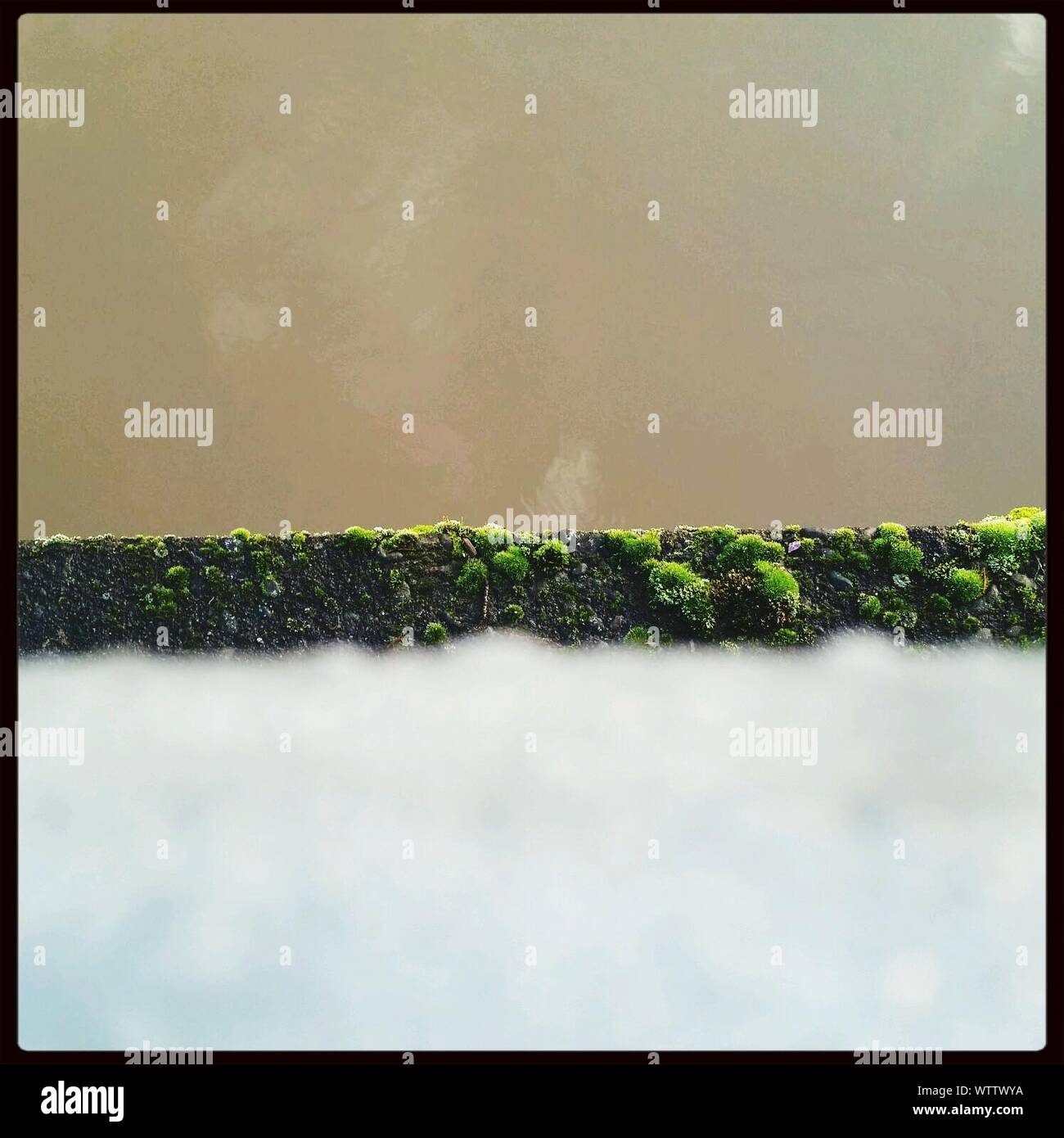 Moss on bridge hi-res stock photography and images - Alamy