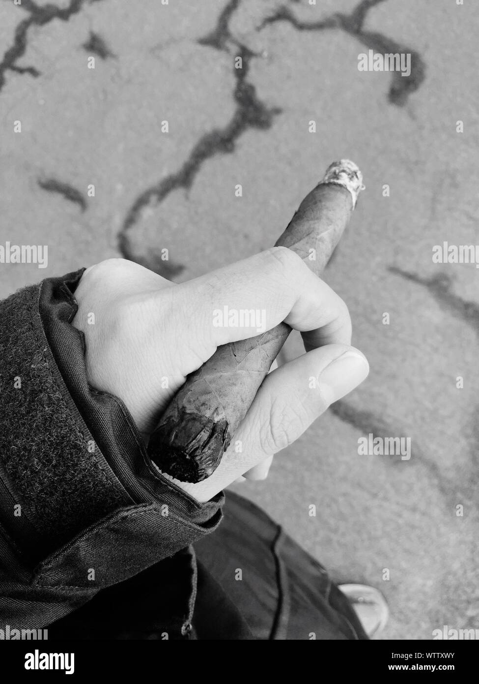 Hand holding cigar hi-res stock photography and images - Alamy